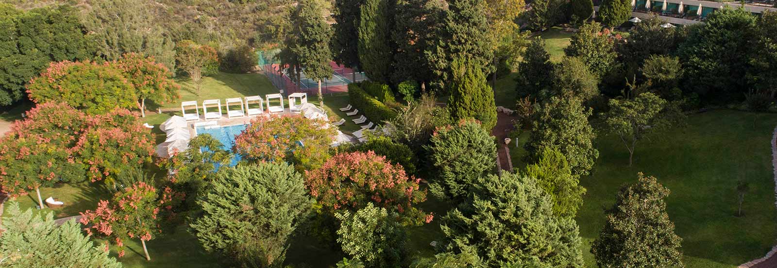 Isrotel Hotels, the leading hotel chain in Israel